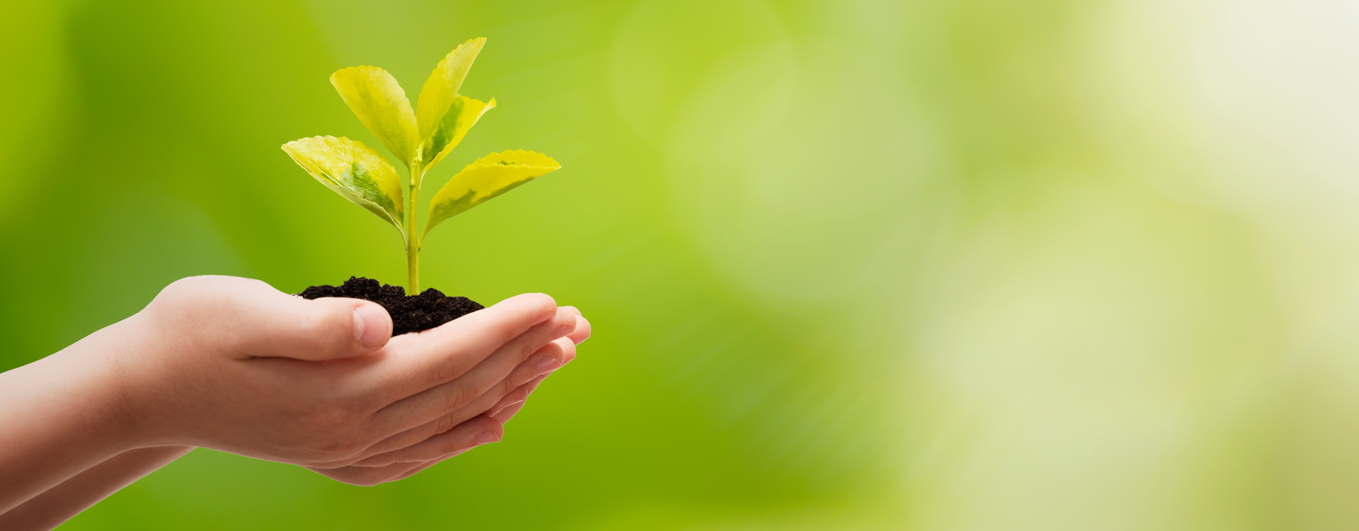 Eliphus – Technology